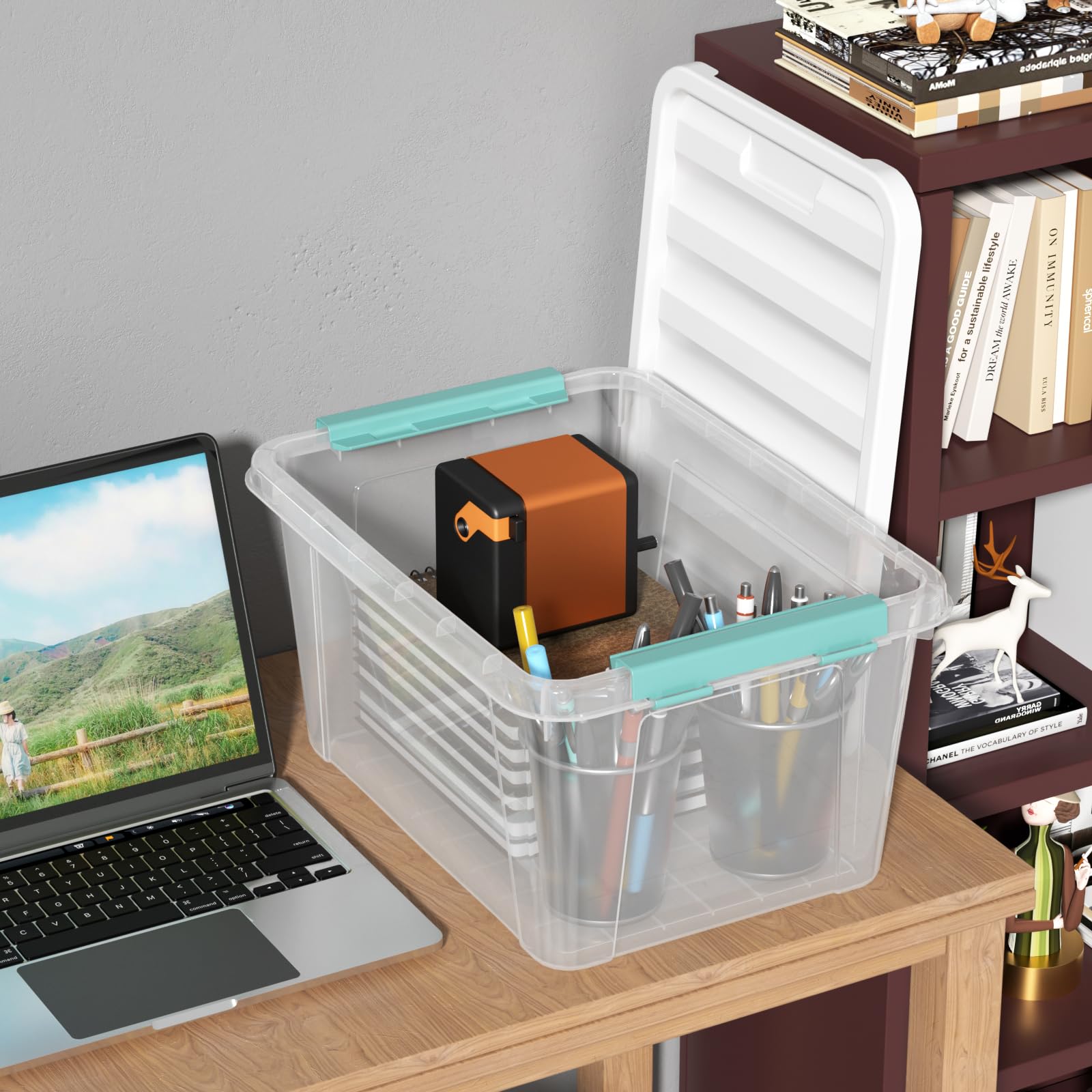 Vababa 20 L Plastic Latch Storage Box with Lid, 4-Pack Clear Small Storage Bin