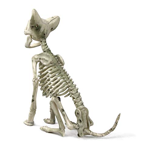 MAKEATREE Halloween Decoration Mini Skeleton Cat Kitten, Plastic Crouching Sitting Cat Bones for Pose Skeleton Prop Indoor Spooky Scene Haunted House Party Favors Décor