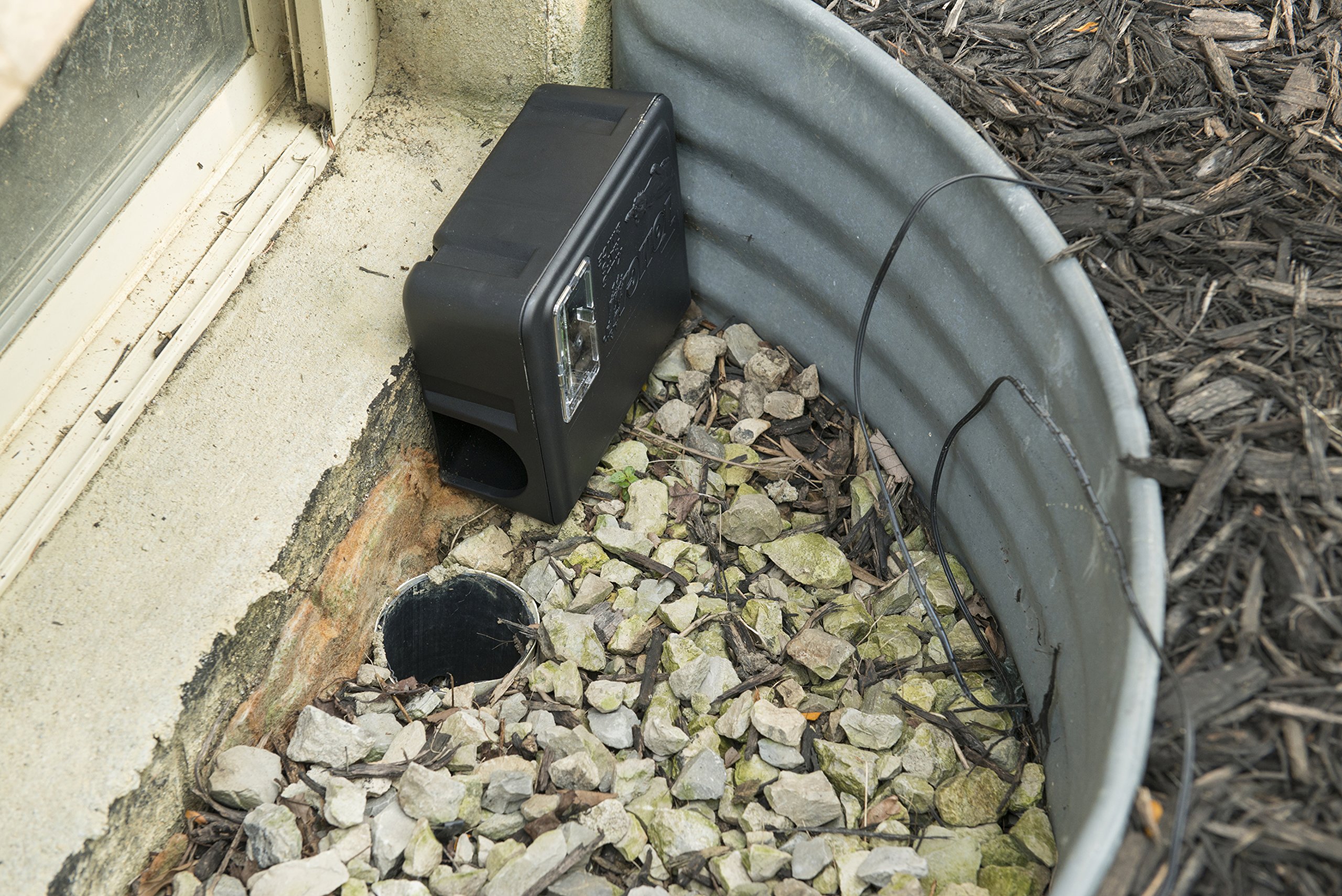 Tomcat Rat Killer II Tier 1 Refillable Rat Bait Station