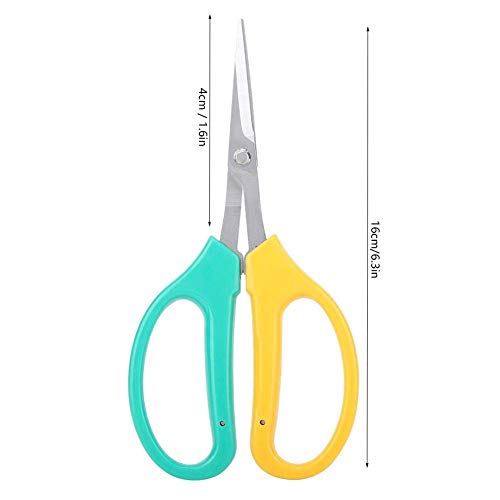 Plant Trimming Scissors, Stainless Steel Fruits Grape Pruning Shears Gardening Scissor for Bonsai Fruit Pruning