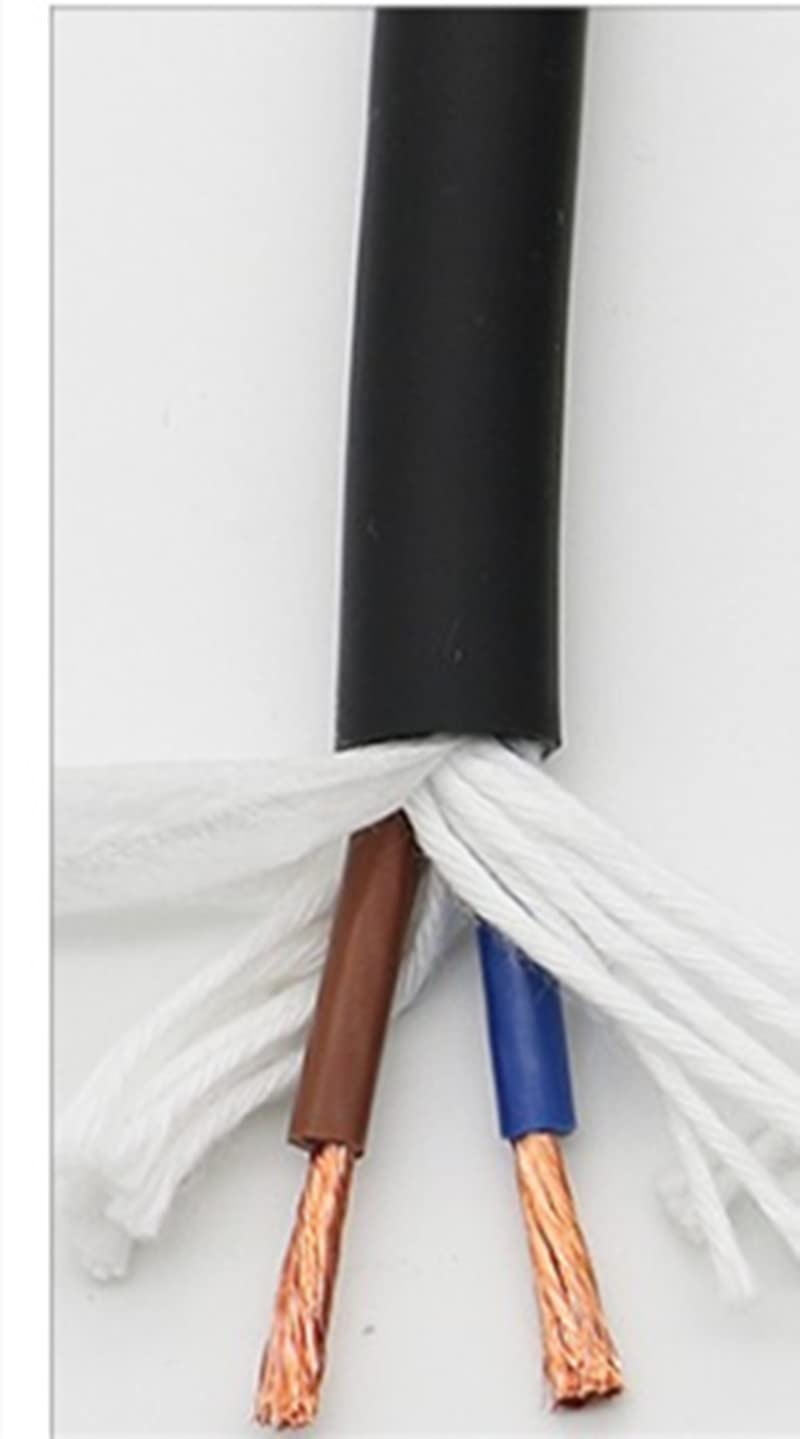 TRVV high Flexible Tow Chain Cable (2 core *0.5 Square Outside Diameter (5.8) 10 m Long)