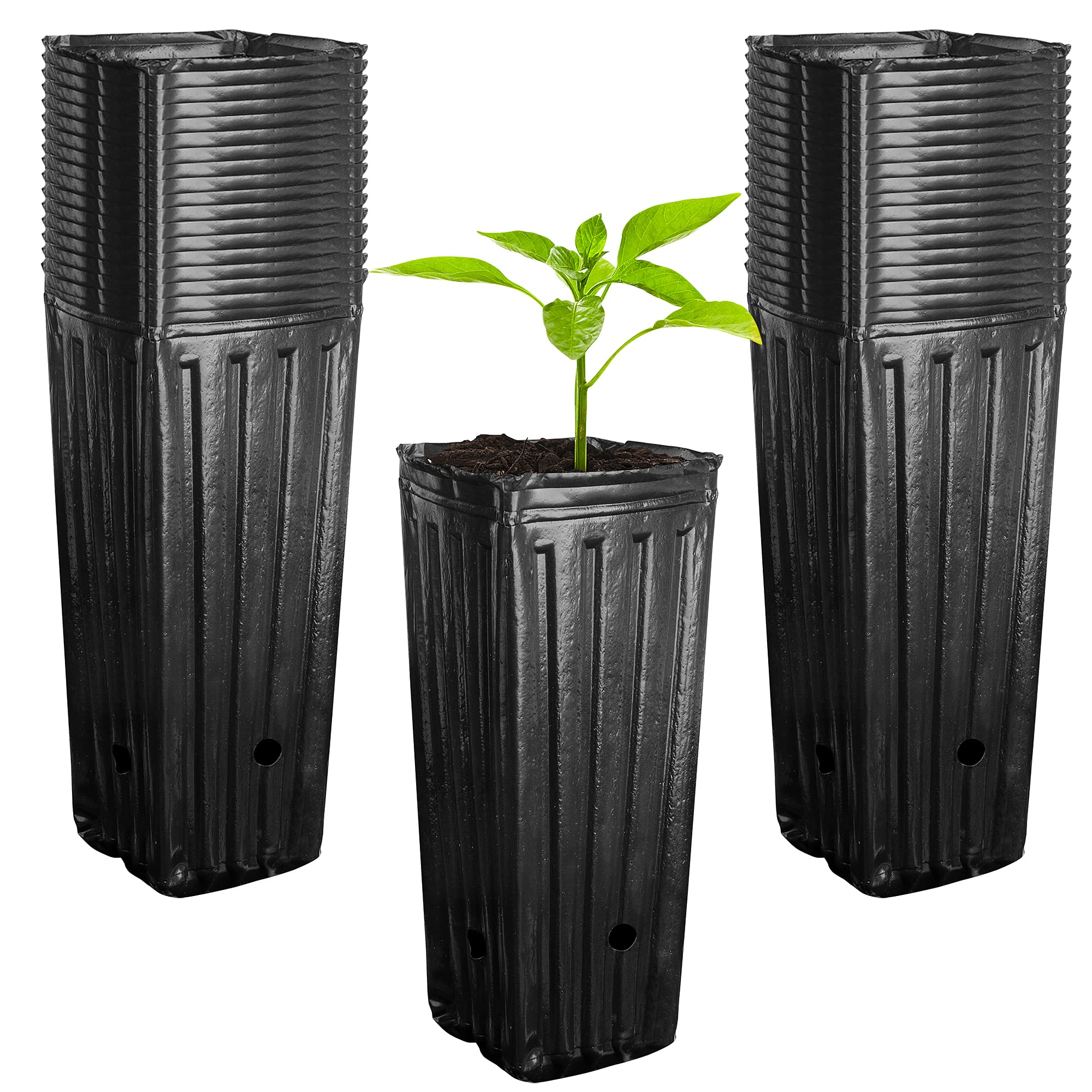 RunNico 50pcs Plastic Deep Plant Nursery Pots,12.2”Tall Tree Pots,Black Deep Seedling Container Pots with Drainage Holes for Indoor Outdoor Gardening (4.72" Wx12.2 H)