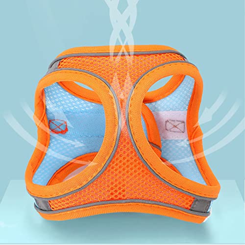 Soft Mesh Dog Harness and Leash Set for Walking Summer Step in Vest Harness Reflective Bands Adjustable No Pull Pet Supplies for Small Dogs and House Cats Belly Bands for Dogs with Snaps (Orange, XS)