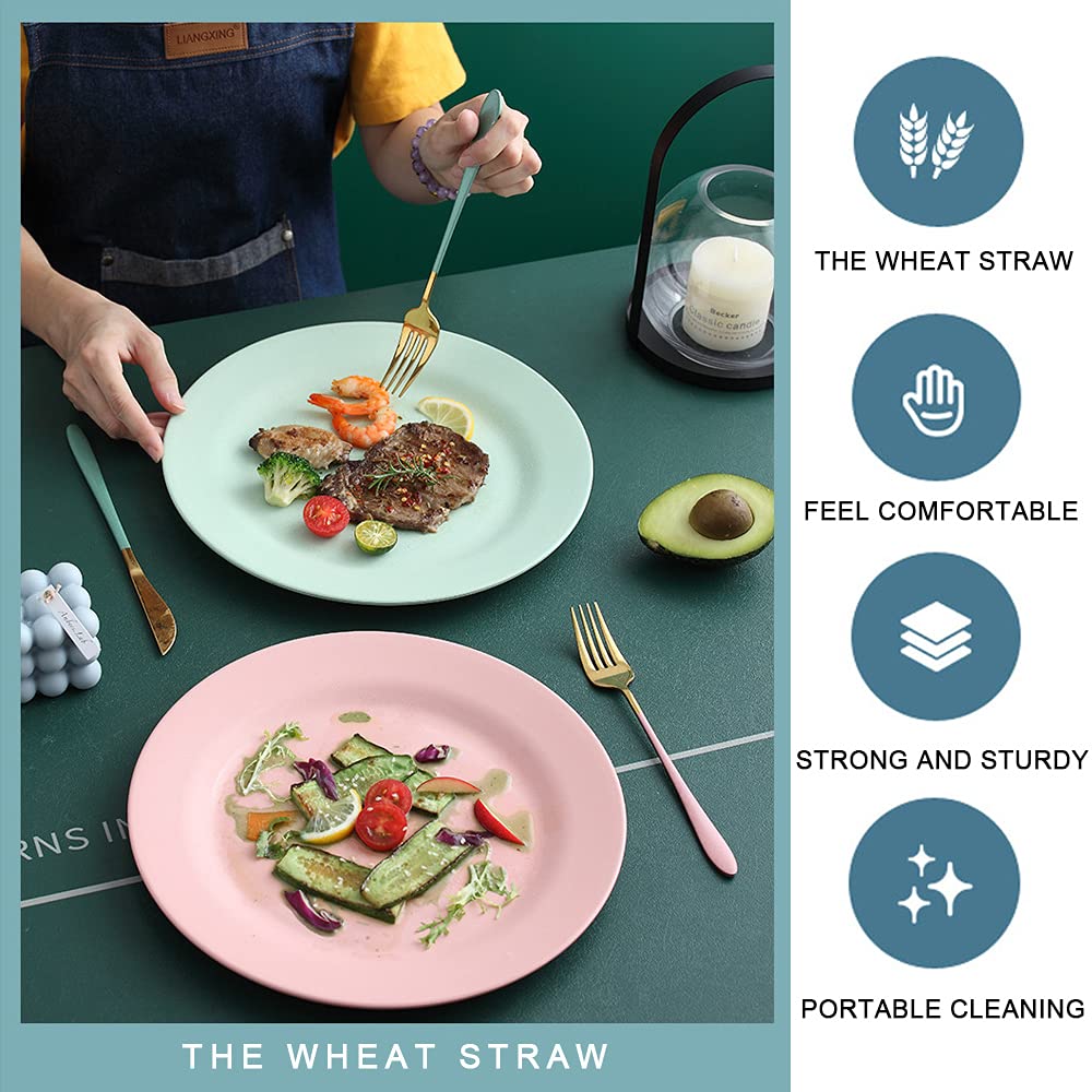NA 10" 11" Dinner Plates Set of 10, Reusable Wheat Straw Dessert Dishes, Round Pasta Salad Serving Plate, Unbreakable Fiber Dinnerware for Party Steak Pizza (Pink)
