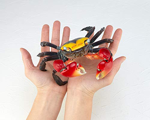 Kaiyodo Revogeo 002: Chiromantes Haematocheir PVC Figure