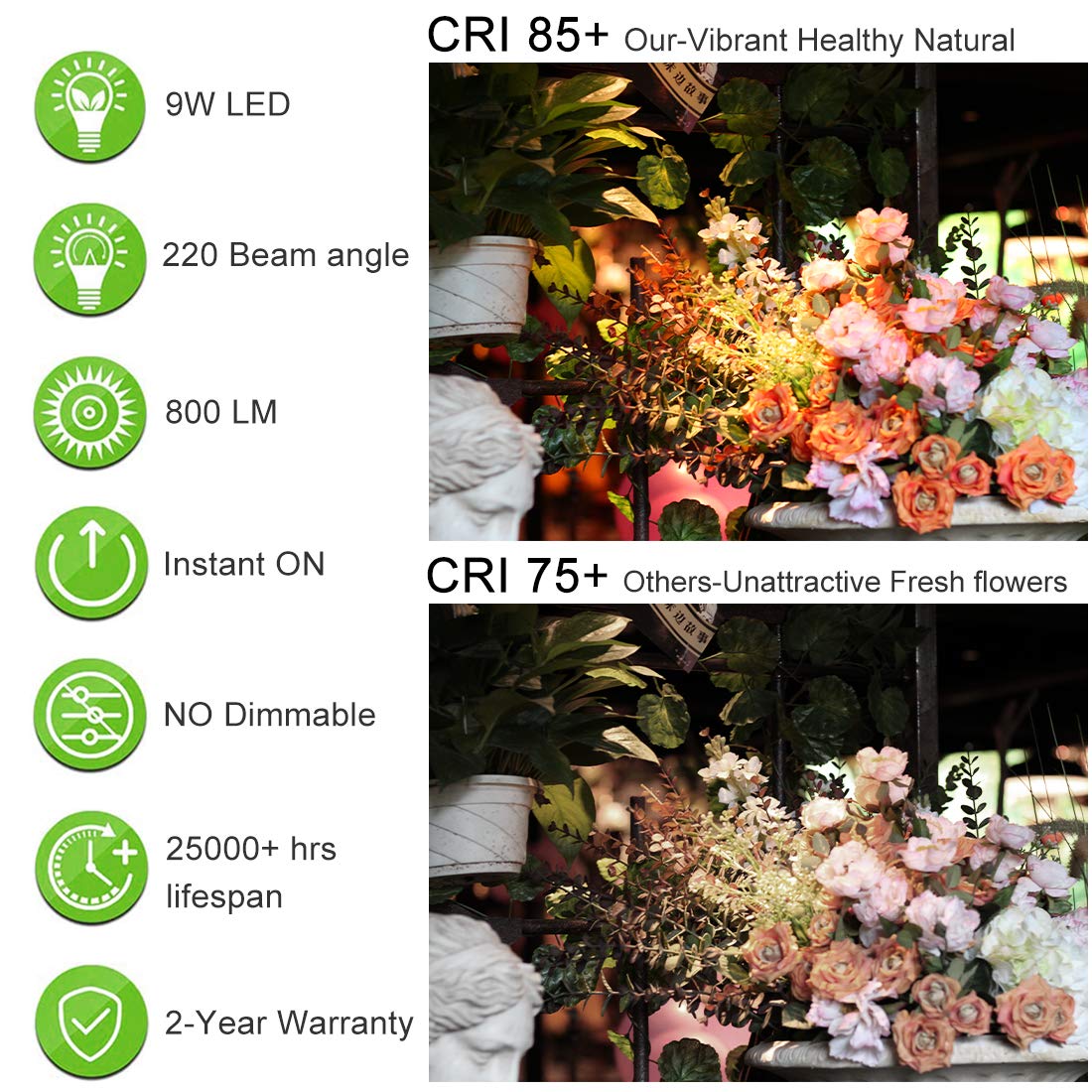 LED Light Bulbs 75 Watt Equivalent, 800 Lumen A19 LED Lightbulbs, 9W LED Energy Saving Lamp, 5000K Daylight White, E26 Medium Base, Non-Dimmable, 4 Pack