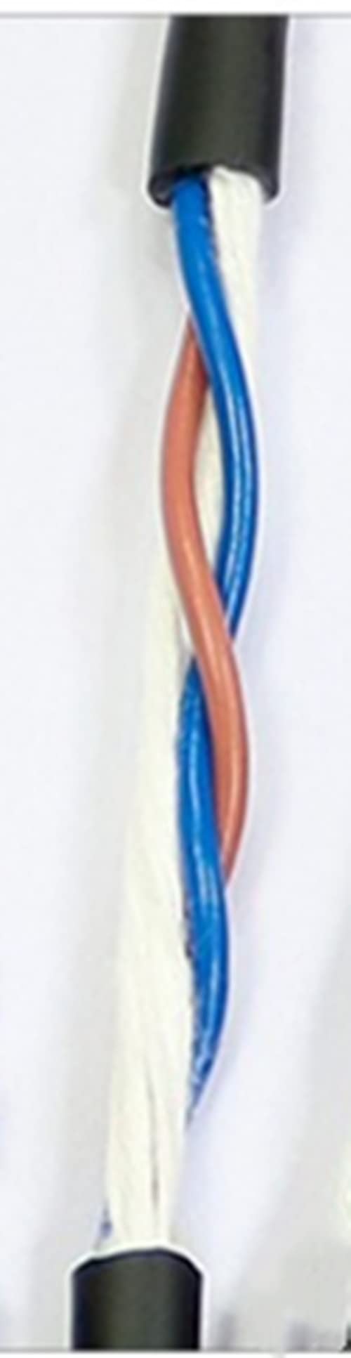 TRVV high Flexible Tow Chain Cable (2 core *0.5 Square Outside Diameter (5.8) 10 m Long)