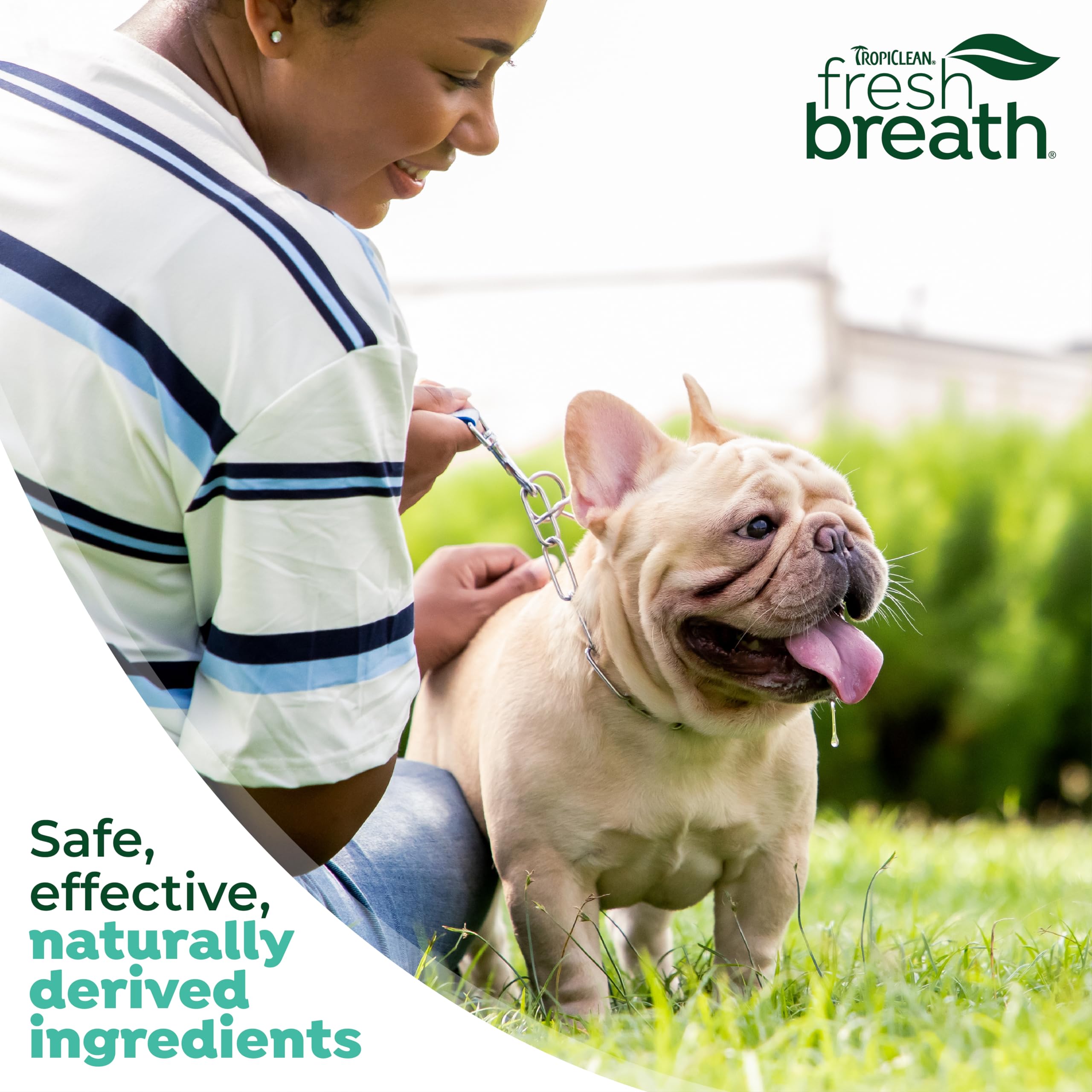 TropiClean Fresh Breath TripleFlex Toothbrush for Small & Medium Dogs | 360-Degree Dog Dental Cleaning | Dog Toothbrush for Small & Medium Breeds