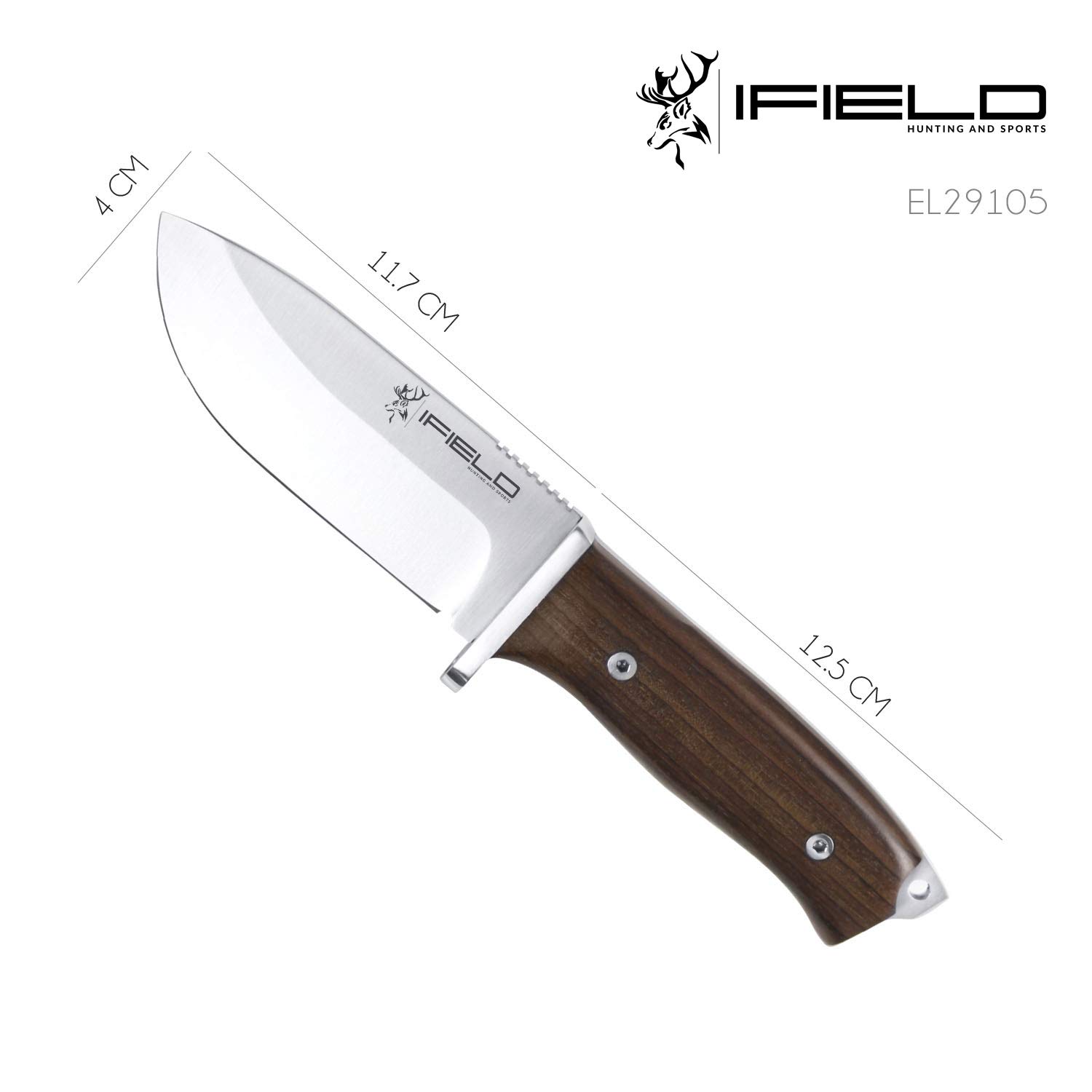 iFIELD Hunting Knife Workout EL29105, 4.6 inch MOVA Satin Blade, Cocobolo Handle, with Brown Leather case, Camping Tool for Fishing, Hunting, Sport Activity