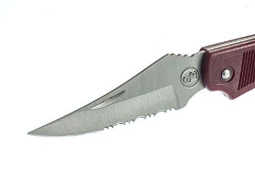 SE Assorted Color Mini Pocket Knife Keychains (6 PC.) - KVS2101-36-6