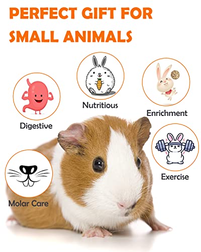 Sofier Hamster, Guinea Pig Toys Accessories Natural Chews for Teeth Rabbit Bunny Rat Chinchilla Hideout Ball Apple Wood Timothy Hay Sticks