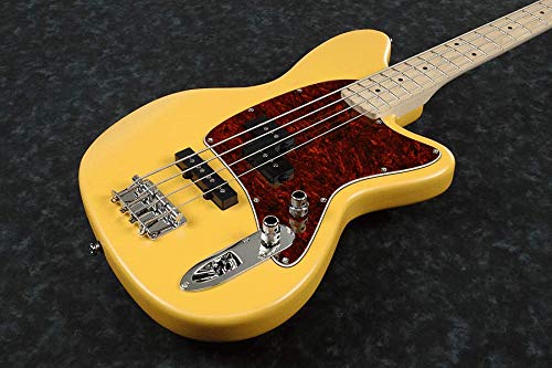 Ibanez Bass Guitar, Yellow (TMB100MMWF)