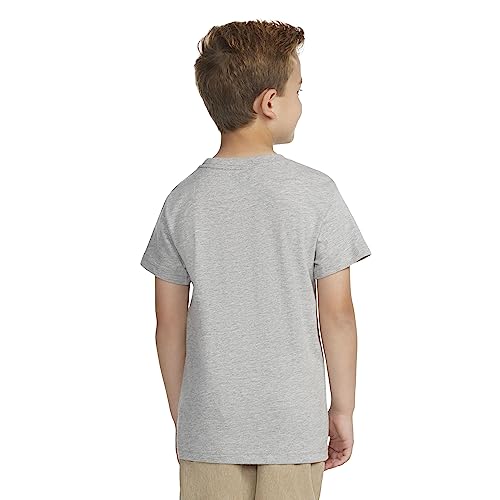 Hurley Boys' Big One and Only Graphic T-Shirt, Dark Gray, Large
