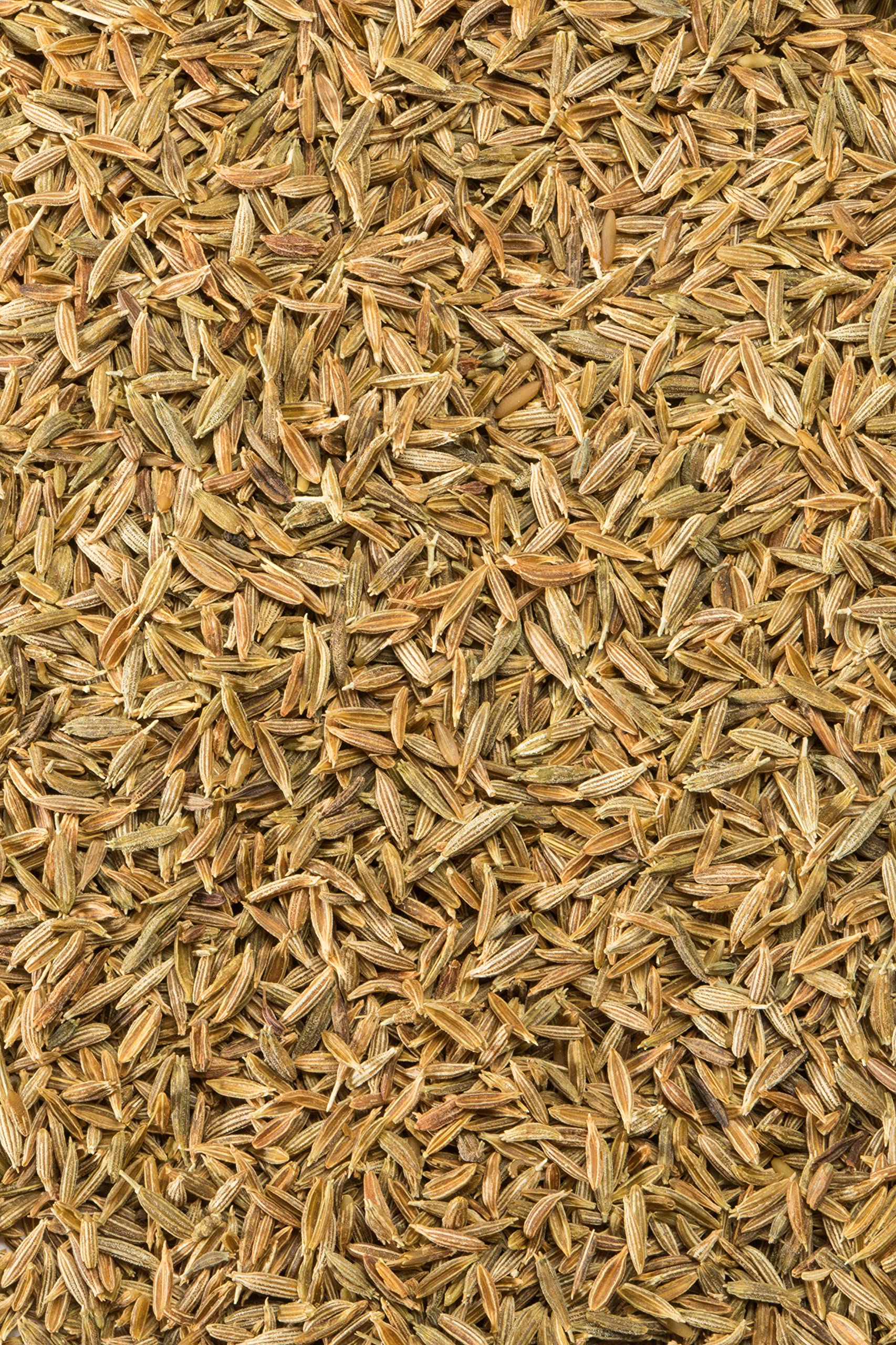 McCormick Gourmet Organic Cumin Seed, 1.37 oz