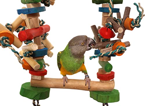 Swing N Play - Parrot Toy Swing for Cage (Small: Conure, Ringneck, Caique, Senegal)
