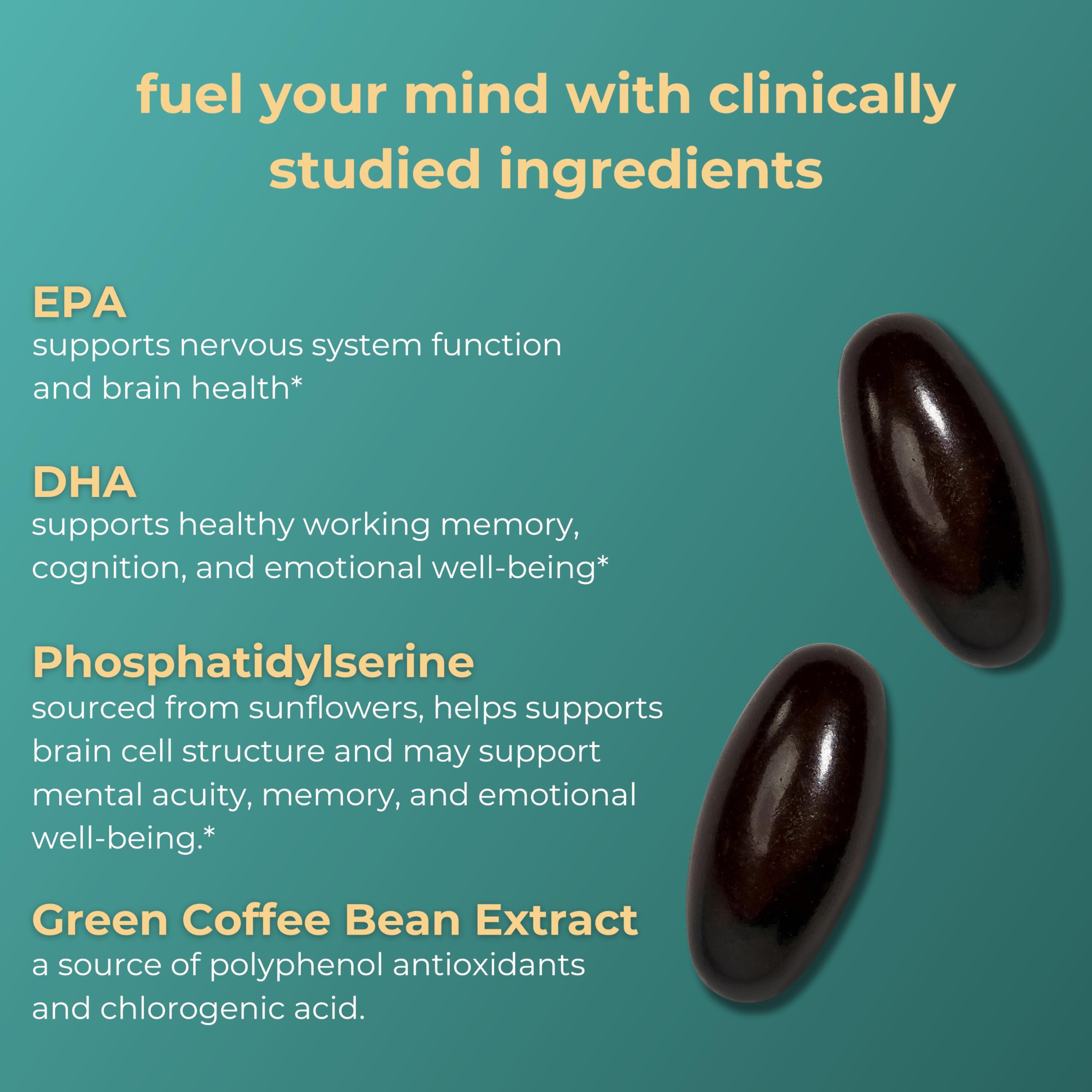 iwi life Brain Omega-3, 120 Softgels (60 Servings), Vegan Plant-Based Algae Omega-3 with EPA + DHA, Focus, Memory and Mood Support Dietary Supplement, Krill & Fish Oil Alternative, No Fishy Aftertaste