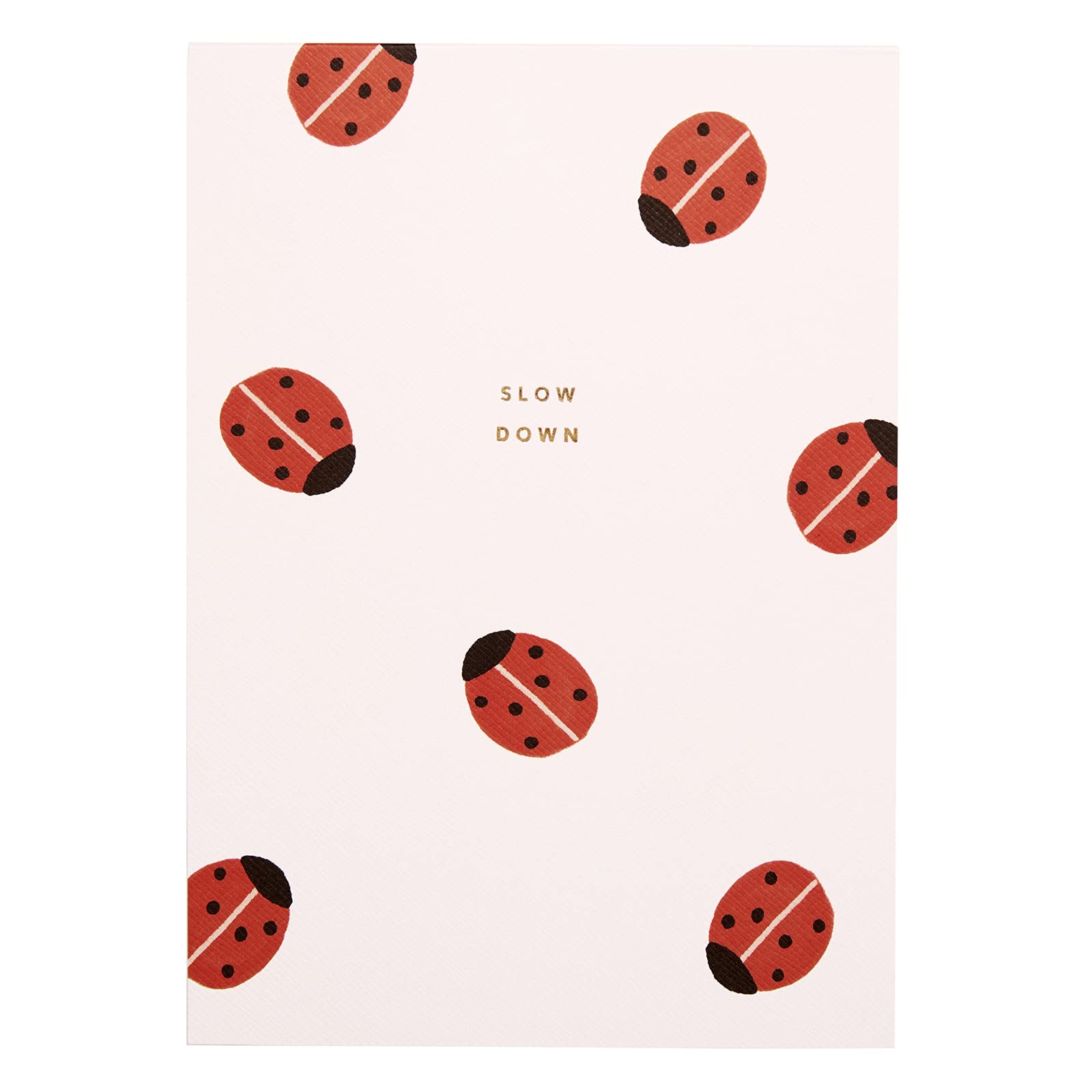 kikki.K Slow Down Collection - B6 Feature Notepad in Blush, 9 Unique Full Color Printed Designs, Lined and Unlined Pages with Inspirational Quote, 240 Pages, 6.93" L x 4.92" W x 0.59" H