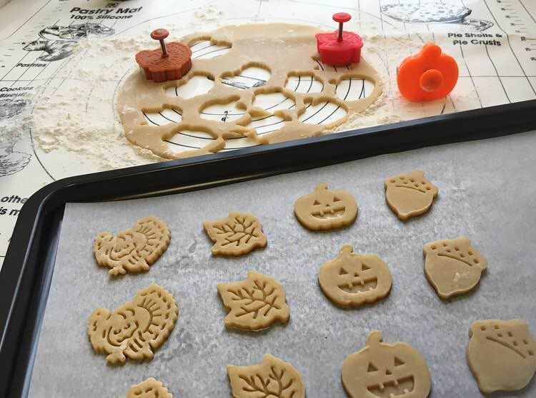 R & M International 492 Pastry/Cookie/Fondant Stamper, 2-Inch, Thanksgiving - Turkey, Acorn, Pumpkin, Oak Leaf