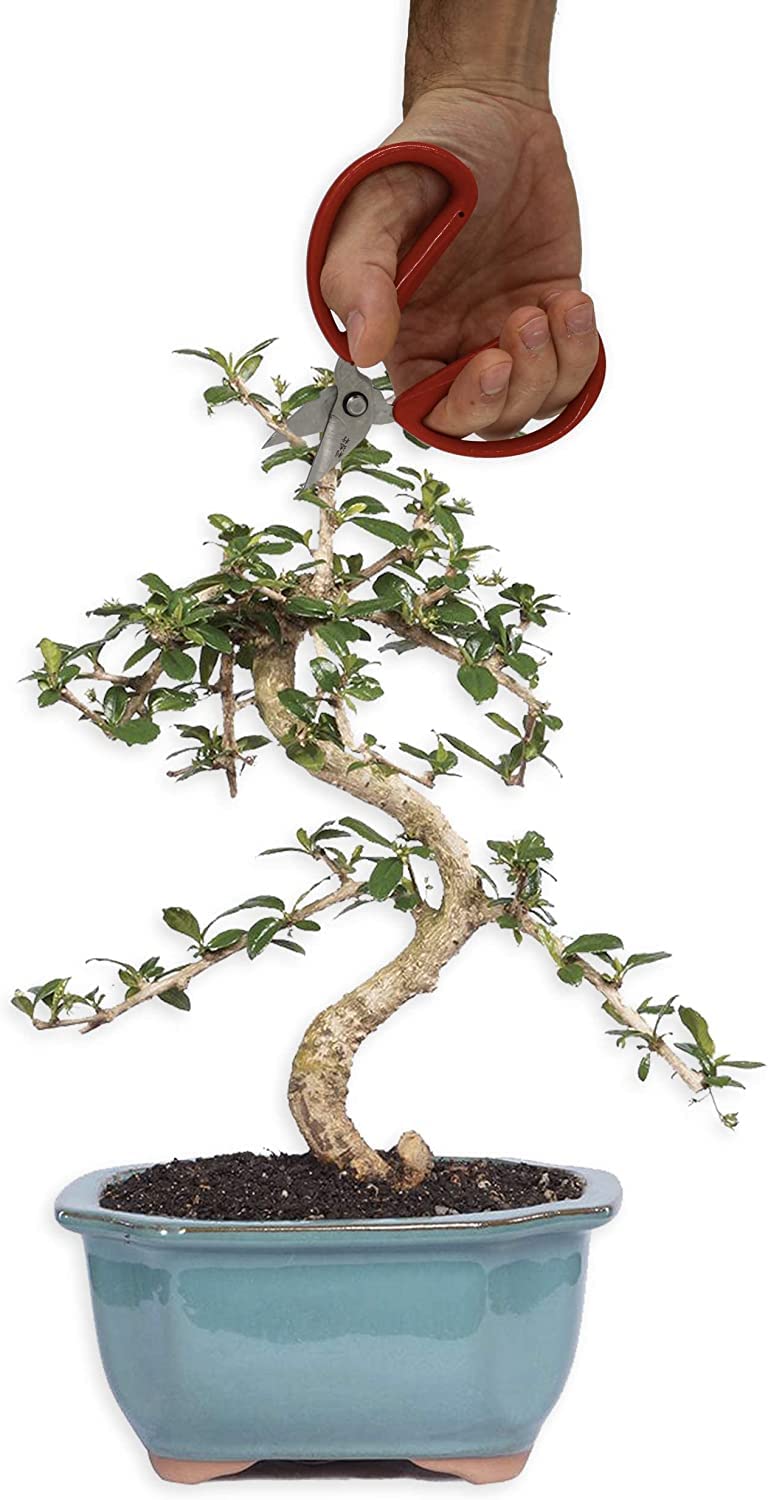 R&R SHOP Bonsai Precision Scissors Kit - Trimming, Bonsai Pruning, Precision Cuts and Small Branches and Roots, Bamboo Rakè - Set of 4