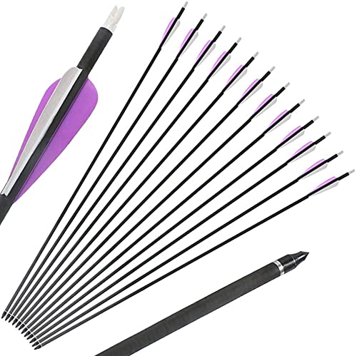IRQ Archery 31Inch Carbon Arrow Practice Hunting Arrows with Removable Tips for Compound & Recurve Bow(Pack of 12)