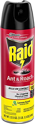 Raid Ant & Roach Killer Lemon Scent, 17.5 OZ (12)