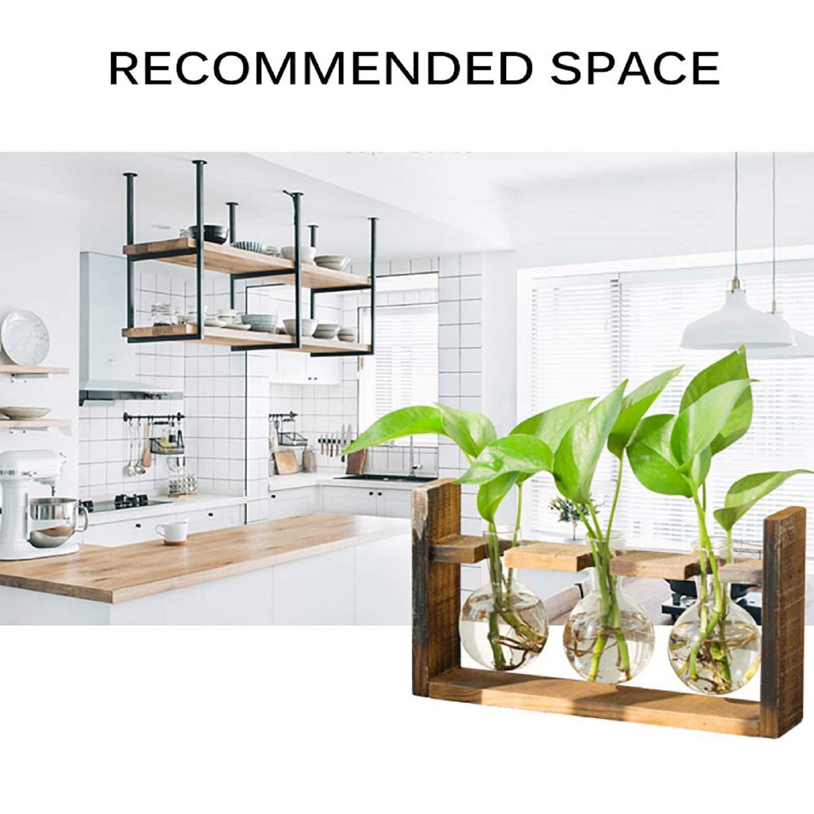 Kingbuy Plant Propagation Station Glass Terrarium Planter Flower Vase with Retro Solid Wooden Stand for Home Kitchen Indoor Garden Wedding Desktop Decor, 3 Bulb Vase