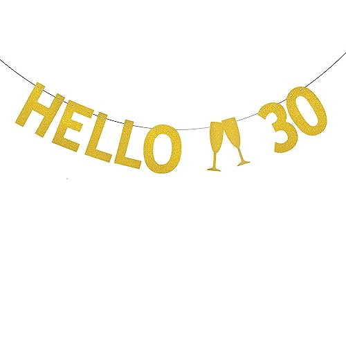 WEIANDBO Gold Glitter Banner,Hello 30,pre-assembled,30th Birthday Party Decorations Bunting Sign Backdrops,Hello 30
