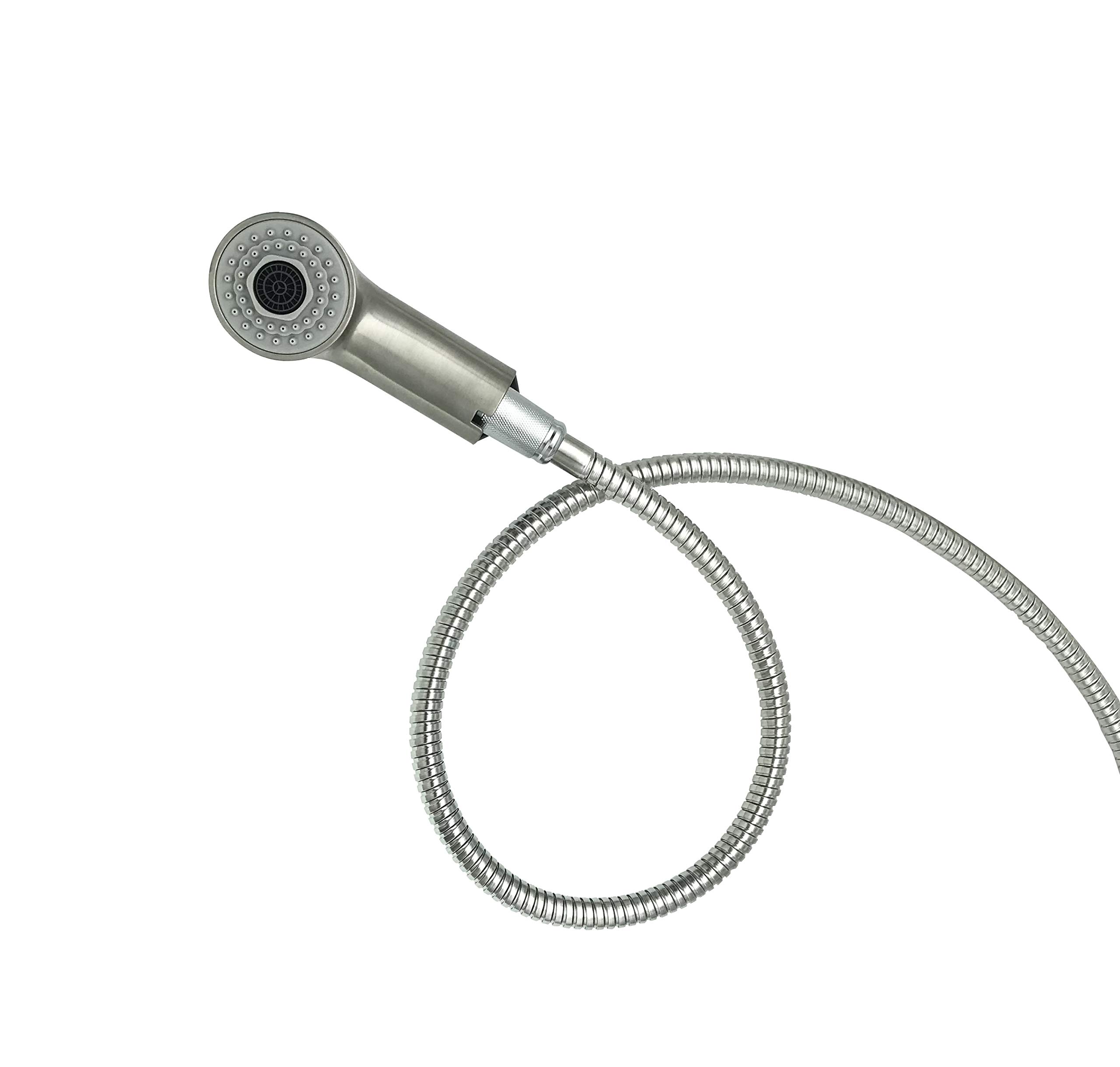 Pull-Out Spray Wand Fits Grohe Pull Out Faucets, Grohe Part 46312SD0 / 46298SD0, Super Steel Finish