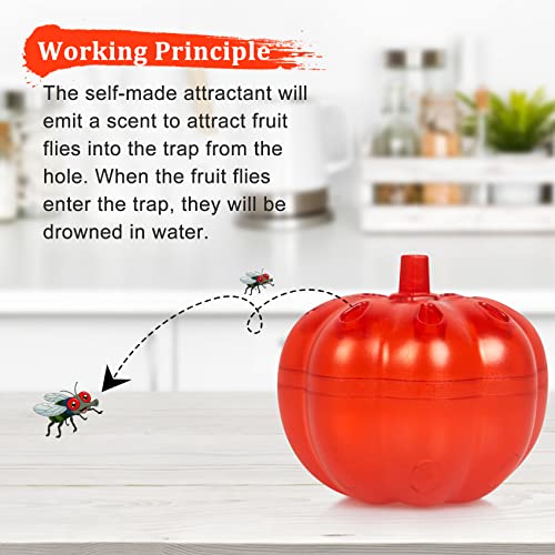Stingmon 4 Pack Gnat Traps Killer Indoor, Reusable Fruit Fly Killer for Indoors, Fly Catcher for Bugs/Mosquitoes/Gnats