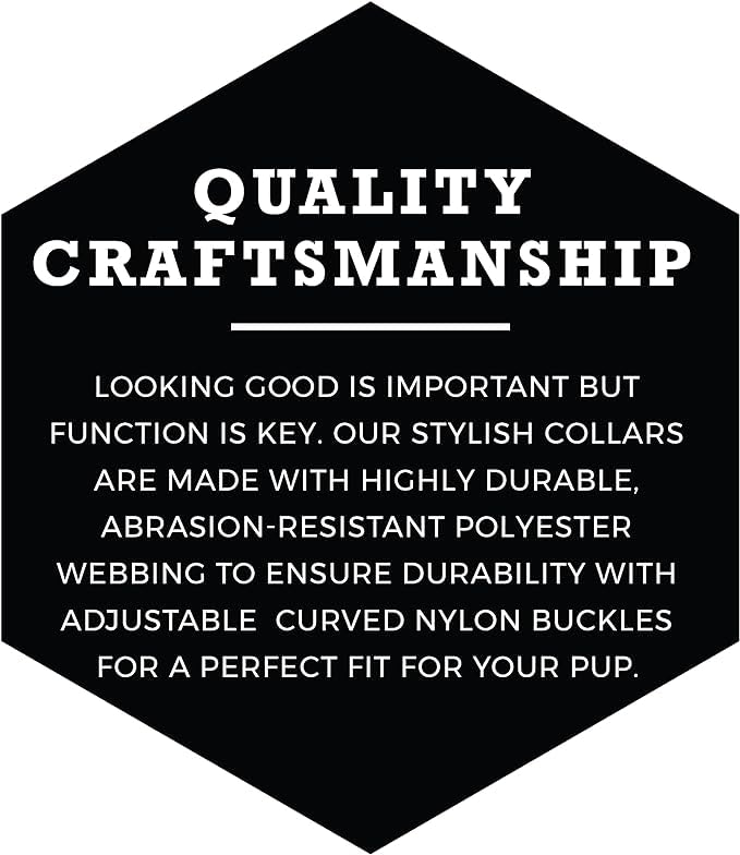 Wolfgang Adjustable Dog Training Collar, for Large Dogs, Durable & Easy to Clean Nylon Dog Collar with Quick Clip Buckles, For Training & Daily Use Made in USA, GreatEscape Print (1 Inch x 18-26 Inch)