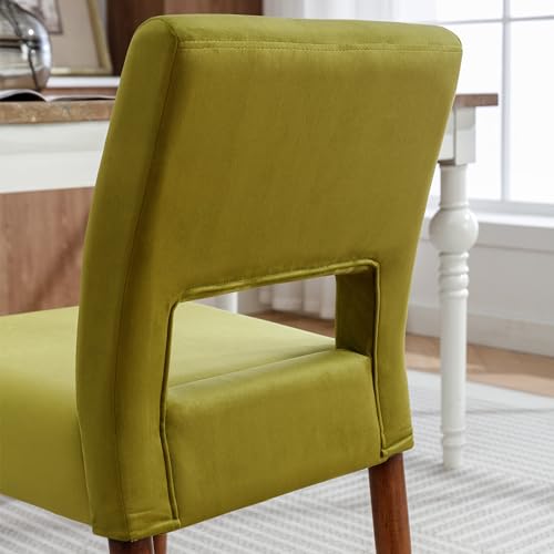 Haplized Accent Chairs Set of 2, Velvet Chairs with Solid Woood,Upholstered Dining Chairs for Living Room, Kitchen, Bedroom, Beauty Room,Dining room (Green, Set of 2)