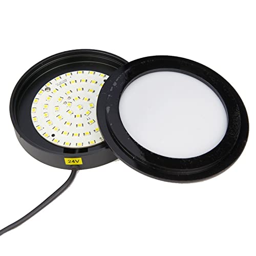 ZTBH Microscope Accessories Kit 50-75mm Stereo Microscope Bottom Light Lamp, Round Light Source, LED Backlight Illuminator AC90V-240V Microscope Slides (Magnification : 70mm)