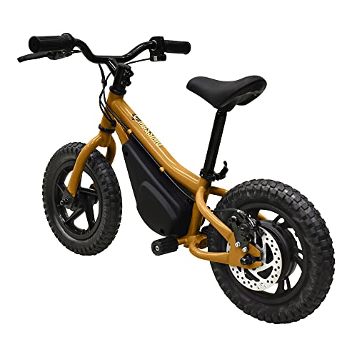 Massimo Motor E-11 Electric Bike for Kids 150 Watt, Age 3-8 yrs, 12in Wheels, Throttle Accelerate Adjustable Seat (Orange)