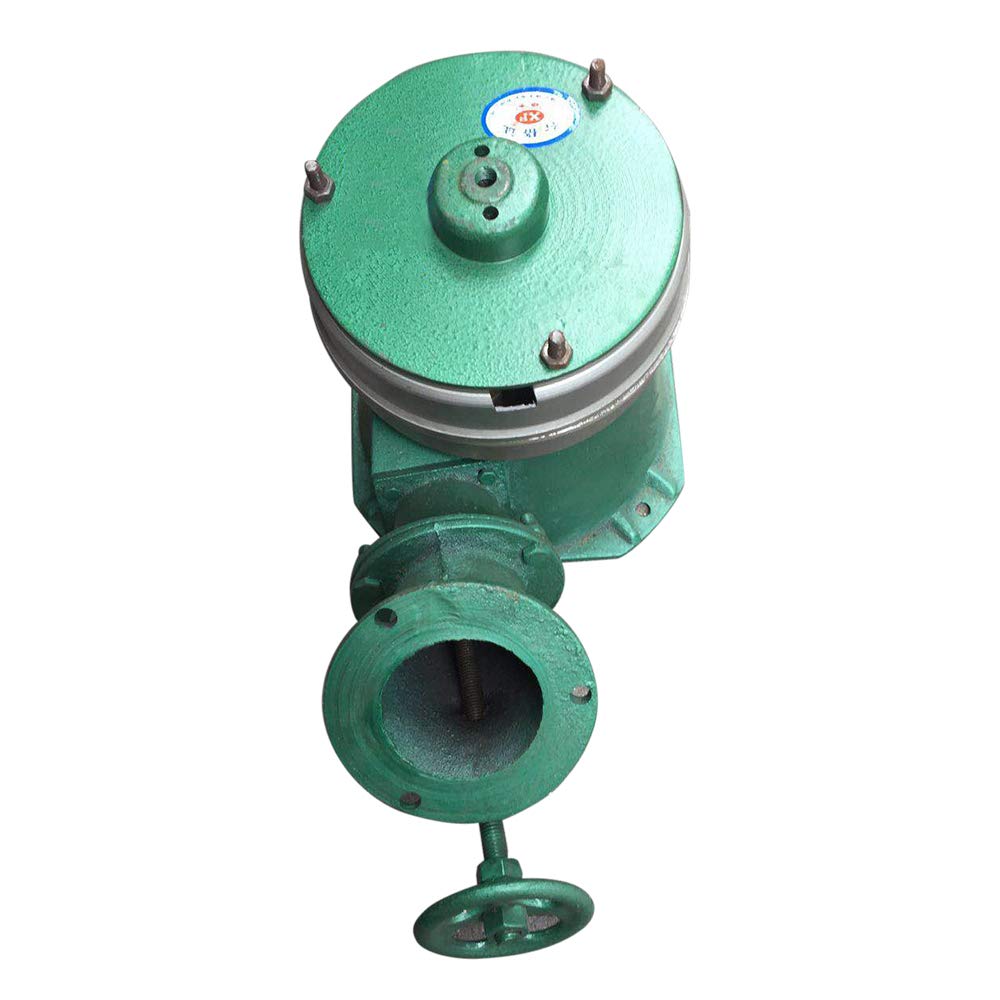 QIZHI Micro Hydro Water Turbine Generator US Plug for Household Lighting TV Electric Furnace ect US Stock(110V 500W)