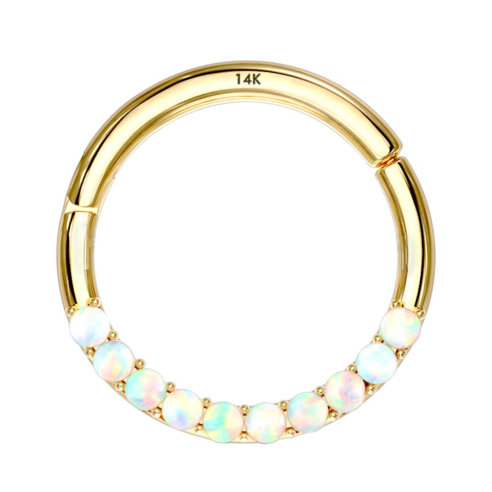 Jewseen 14K Gold Opal Lined Set Hinged Segment Hoop Rings 16g Septum Clicker Nose Rings Daith Trgaus Helix Earring Body Piercing