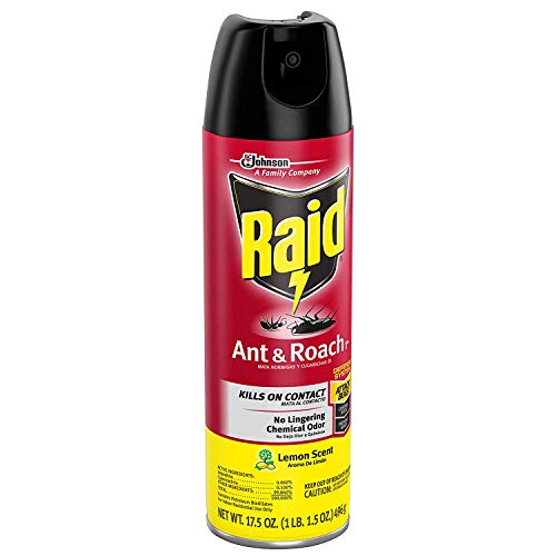 Raid Ant & Roach Killer Lemon Scent, 17.5 OZ (Pack - 3)