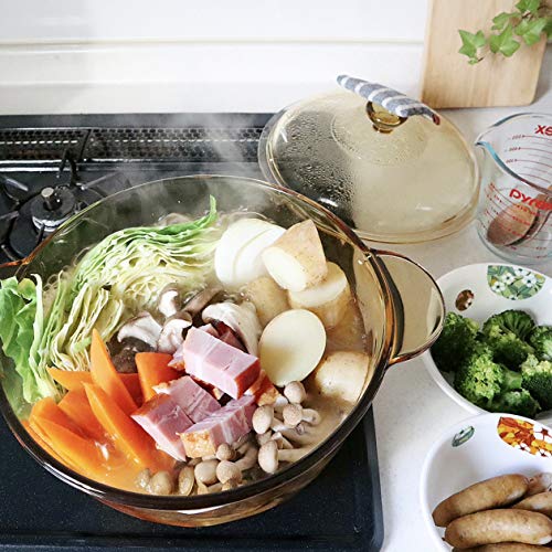 PEARL METAL VISIONS CP-8721 Tabletop Pot, 9.4 inches (24 cm), Heat Resistant Glass, Microwave Safe, Oven Safe, Dishwasher Safe, See Inside