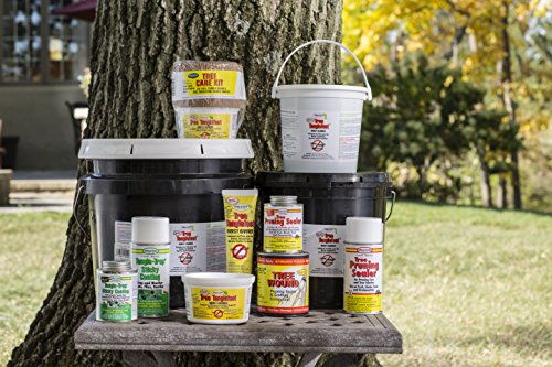 Tanglefoot Insect Barrier (Tub), 15 oz.