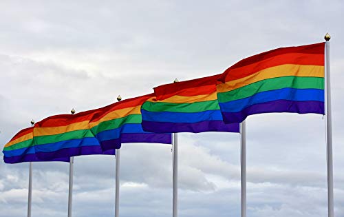 Rainbow Pride Flag 6 Stripes 3x5ft - Staont Flag Vivid Color and UV Fade Resistant - Canvas Header and Brass Grommets (Rainbow Flag 3x5ft (1PACK))