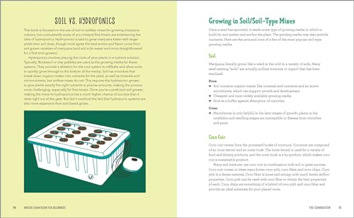 Indoor Grow Room for Beginners: A Step-By-Step Guide to Growing Marijuana