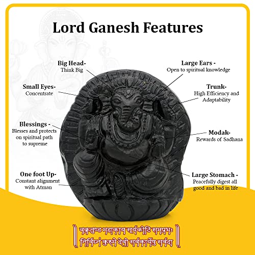 Vedic Vaani Natural Gandaki River Stone Vakratunda Ganesh Shaligram Statue (1 Pc)