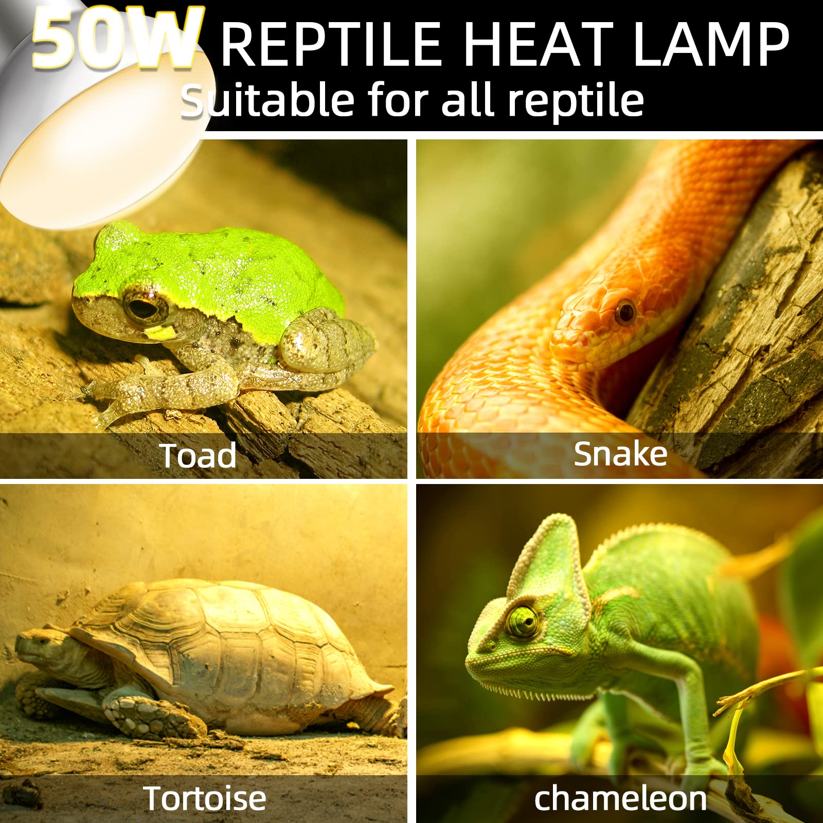 HETOO (Red/White Random Color Heat Lamp, Reptile Heat Lamp Bulbs, Full Spectrum Basking Spot Heat Light Bulbs for Reptiles & Amphibians Bearded Dragon Turtle Lizard Tank Accessories, E26 Base, 50W