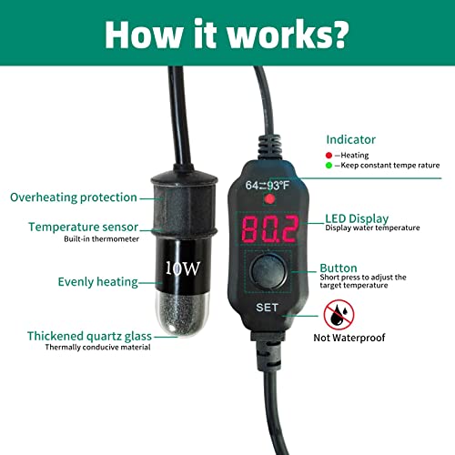 USB Adjustable 10W Mini Aquarium Heater Submersible Fish Tank Heater,Small Fish Tank Heater with LED Digital Display Thermostat, Betta Heater Turtle Heater for 1-2 Gallon Tanks