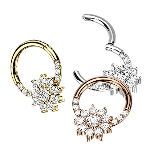 Pierced Owl 16GA Precision All 316L Stainless Steel CZ Crystal Lined and Flower Center Hinged Segment Ring (Silver Tone)