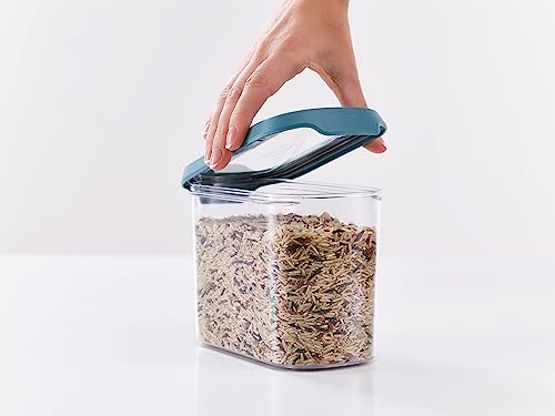 Joseph Joseph CupboardStore Airtight Easy Pour Food Storage Container Scoop, 5-Piece Set, Opal