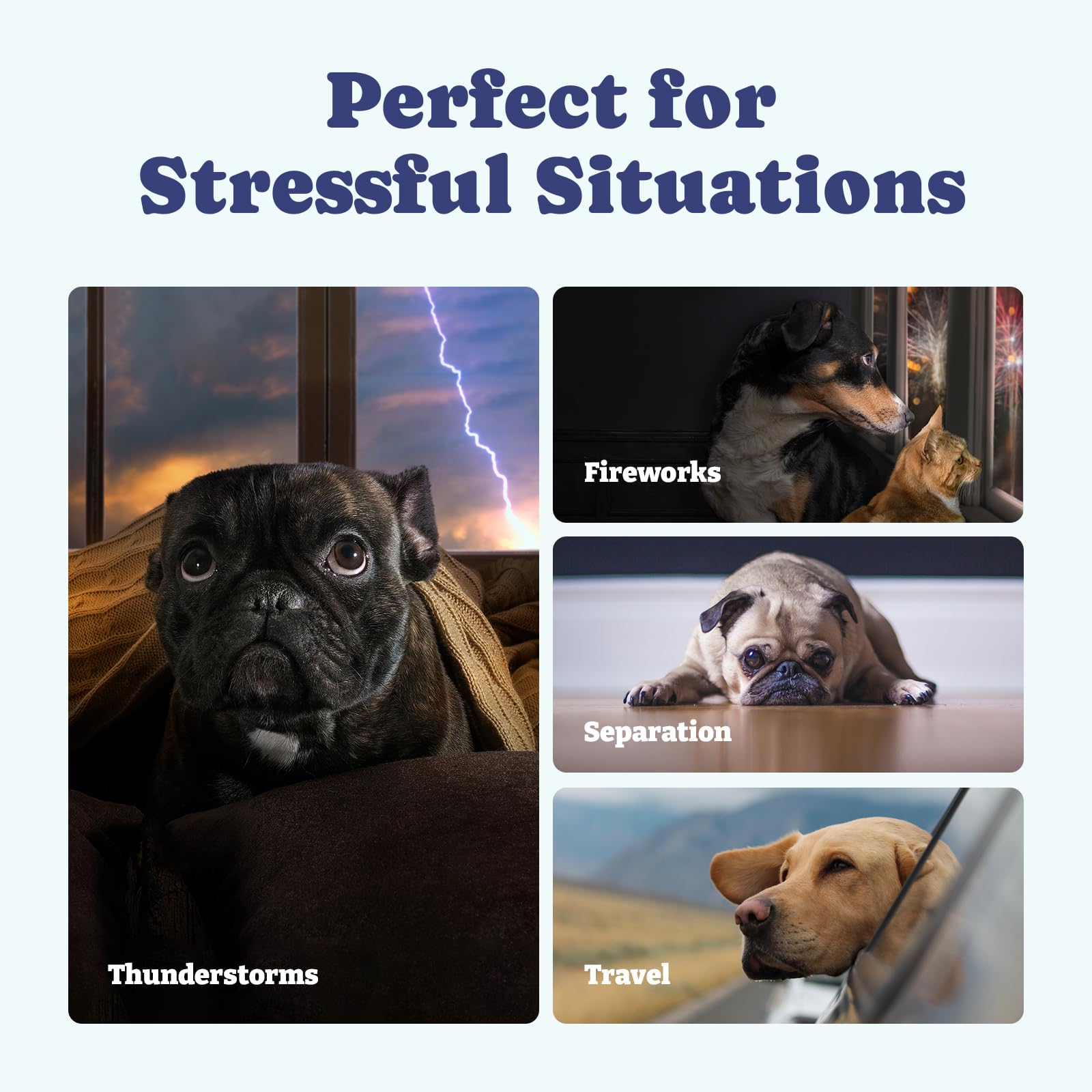 YoYoBay Dog Calming Chews for Anxiety, Separation, Travel, Thunderstorms - with Valerian Root, Melatonin, Hemp Oil - Duck & Pear Flavor, 170 Count