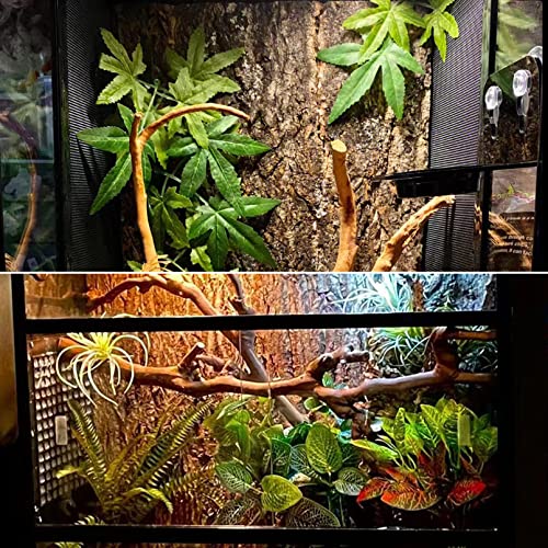 Tfwadmx Cork Tile Terrarium Background Reptile Bark Backdrop Wall Decor 3D Bearded Dragon Tank Climbing Mat Decoration for Gecko Lizard Tortoise Chameleon (2 Pack)
