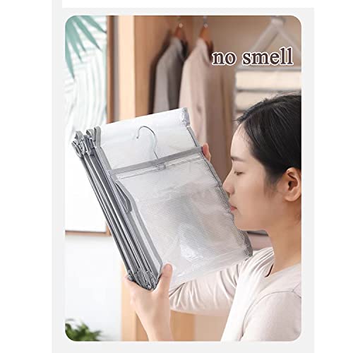 TEGOOL Hanging Closet Organizer, Tier Shelf for Folded Pants Clothes,with Sturdy Hooks Closet Organizers and Storage Bins for Jeans, Trousers,Sweater (6-Shelf)