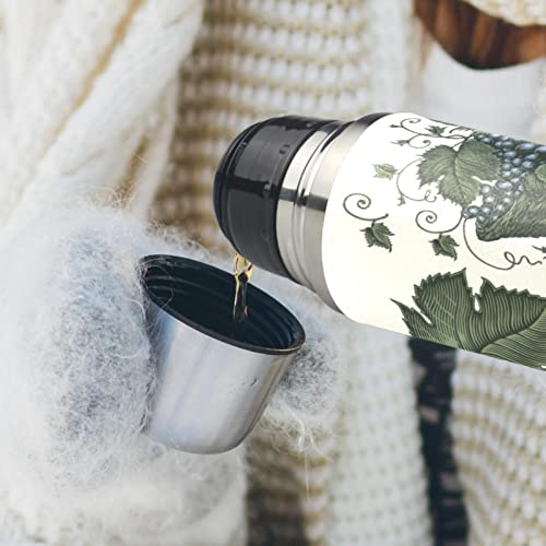 Vintage Grape Cluster Vacuum Insulated Stainless Steel Water Bottle, Double Walled Travel Thermos Coffee Mug 17 OZ for School Office