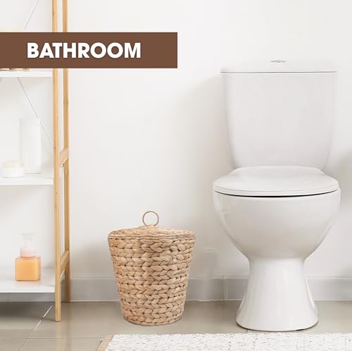 TREVIETDECOR Wicker Trash Can with Lid | Wicker Trash Basket | Wicker Waste Basket for Bathroom, Bedroom, Kitchen, Living Room